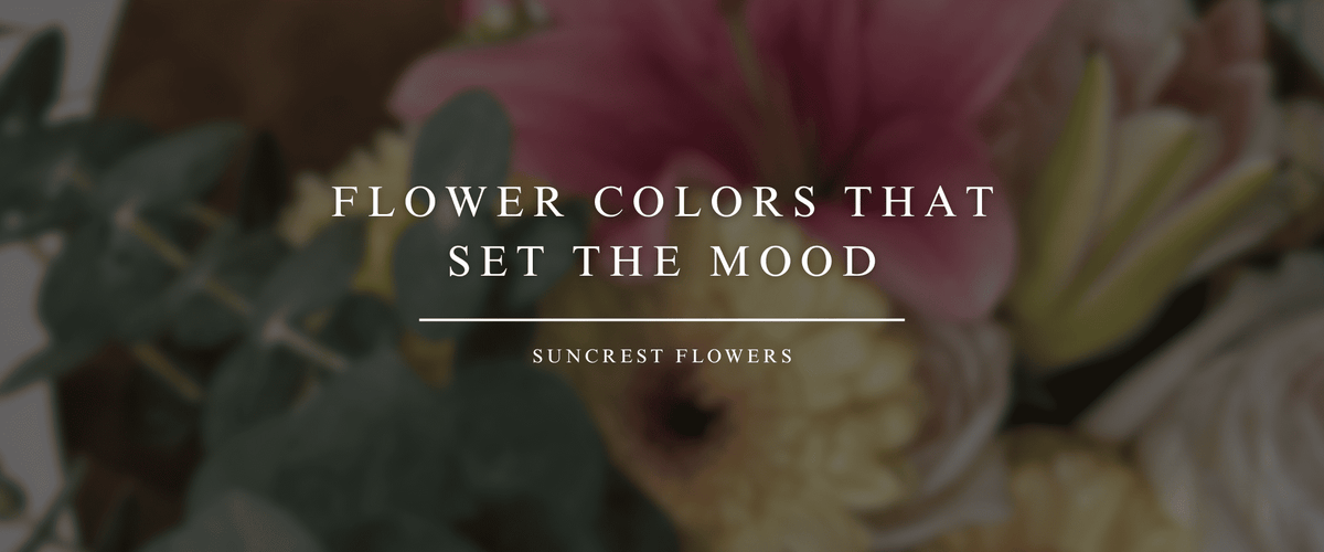 Flower Colors That Set the Mood – Suncrest Flowers