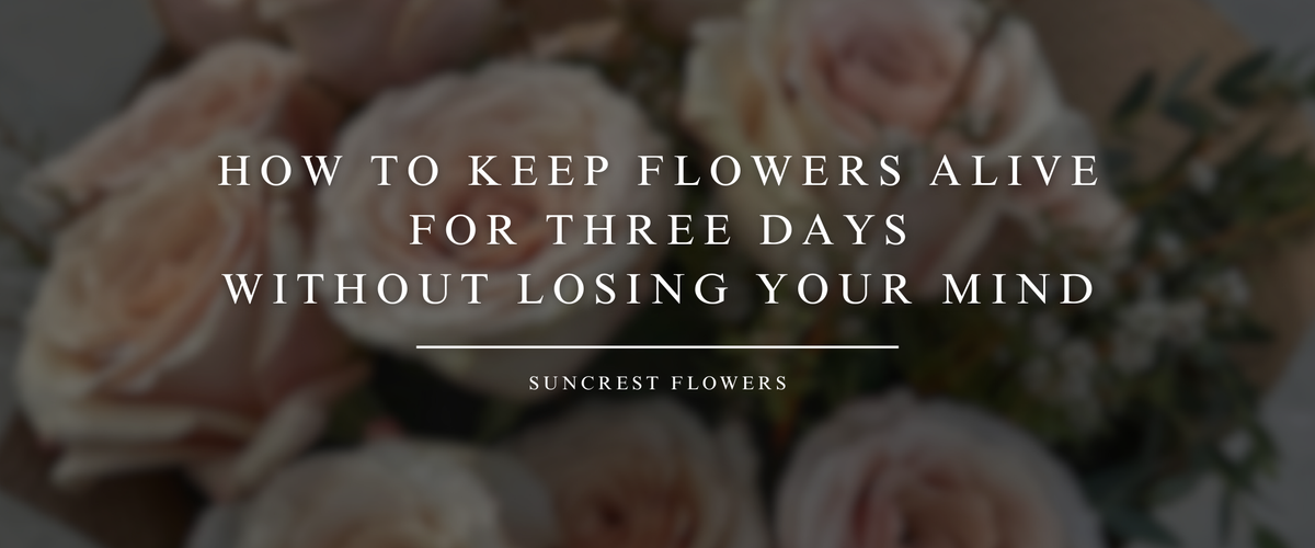 How to Keep Flowers Alive for Three Days Without Losing Your Mind ...
